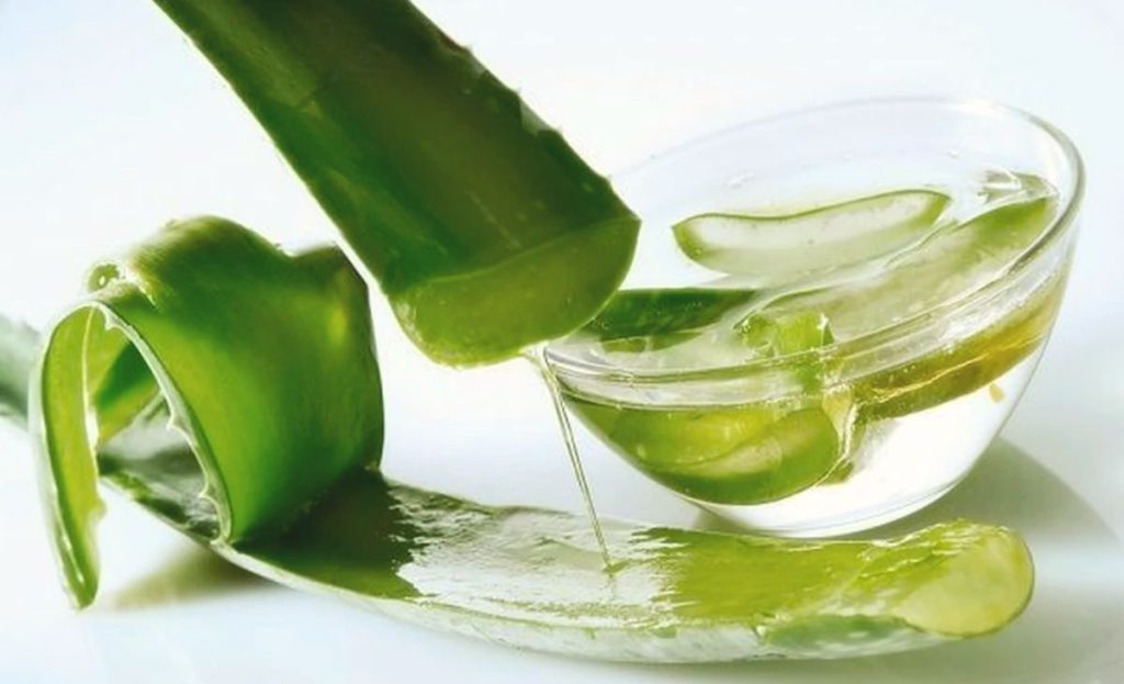 Khám phá 9 loại thảo dược chữa bệnh đại tràng an toàn, hiệu quả - Matthew