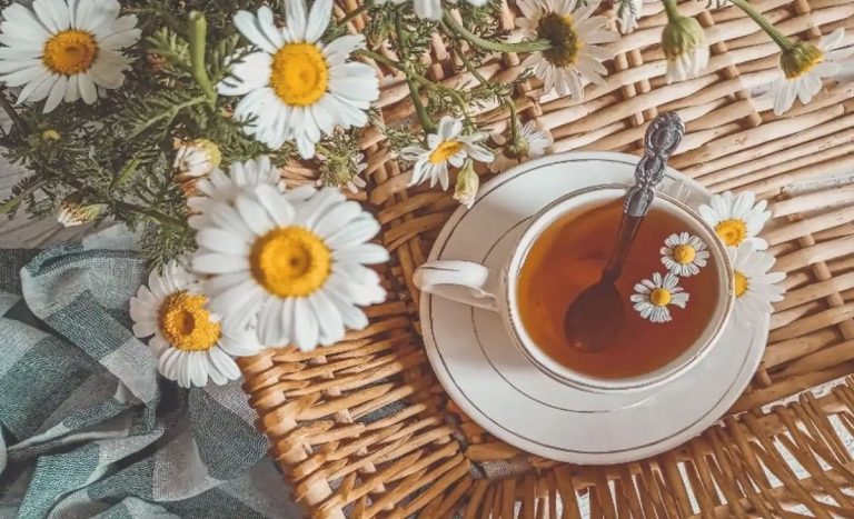 Cà phê và trà: Uống cái nào tốt hơn cho sức khỏe? - Matthew