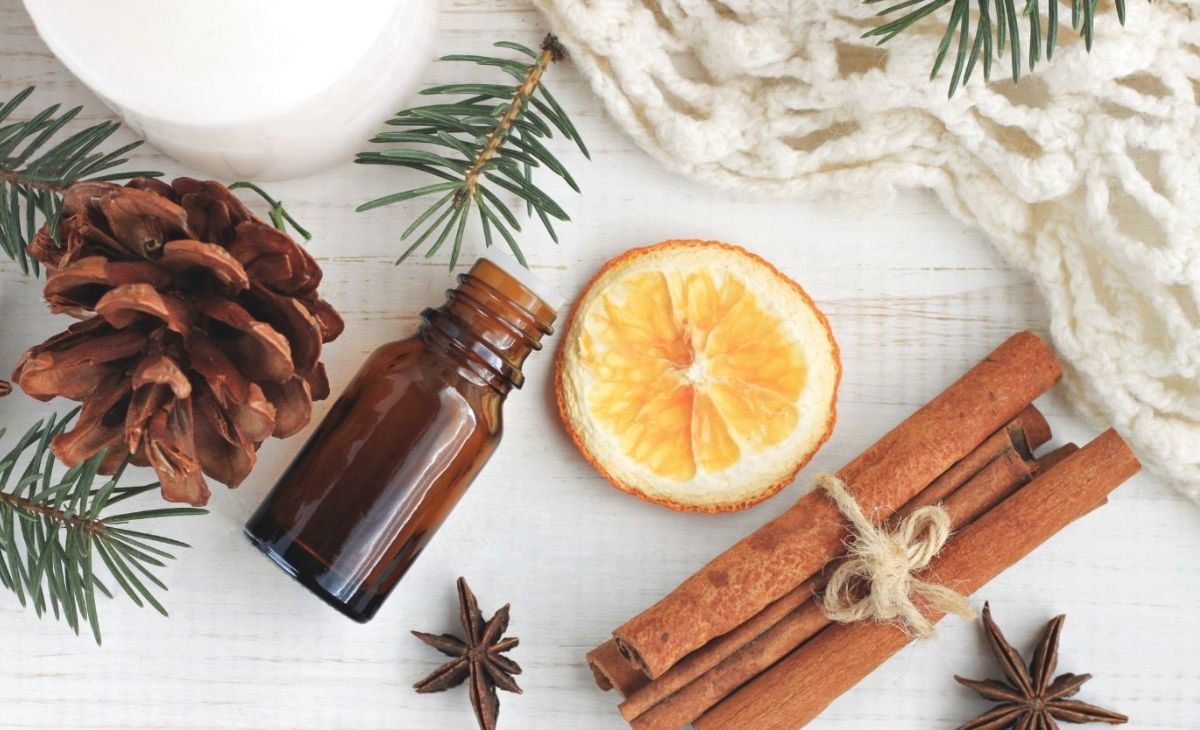 Tinh dầu quế là gì? Thành phần, công dụng và cách dùng hiệu quả - Matthew