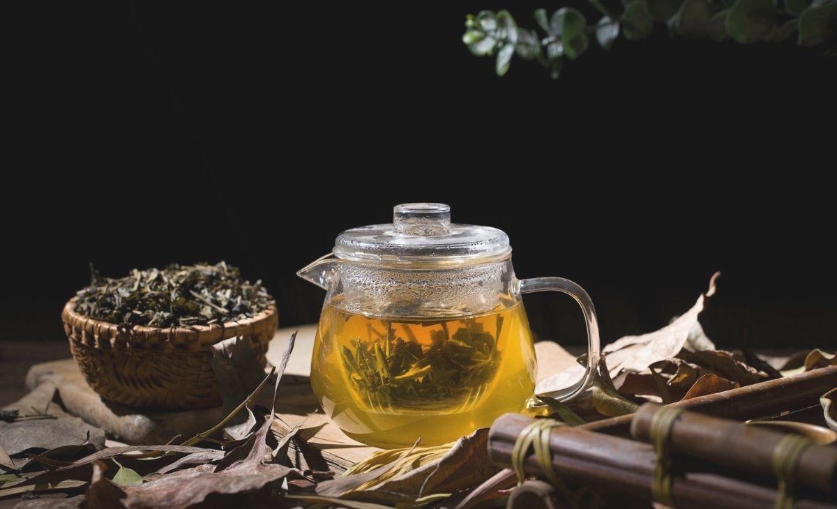 Trà Sâm Dứa là gì? Tác dụng, lưu ý khi dùng trà hiệu quả - Matthew